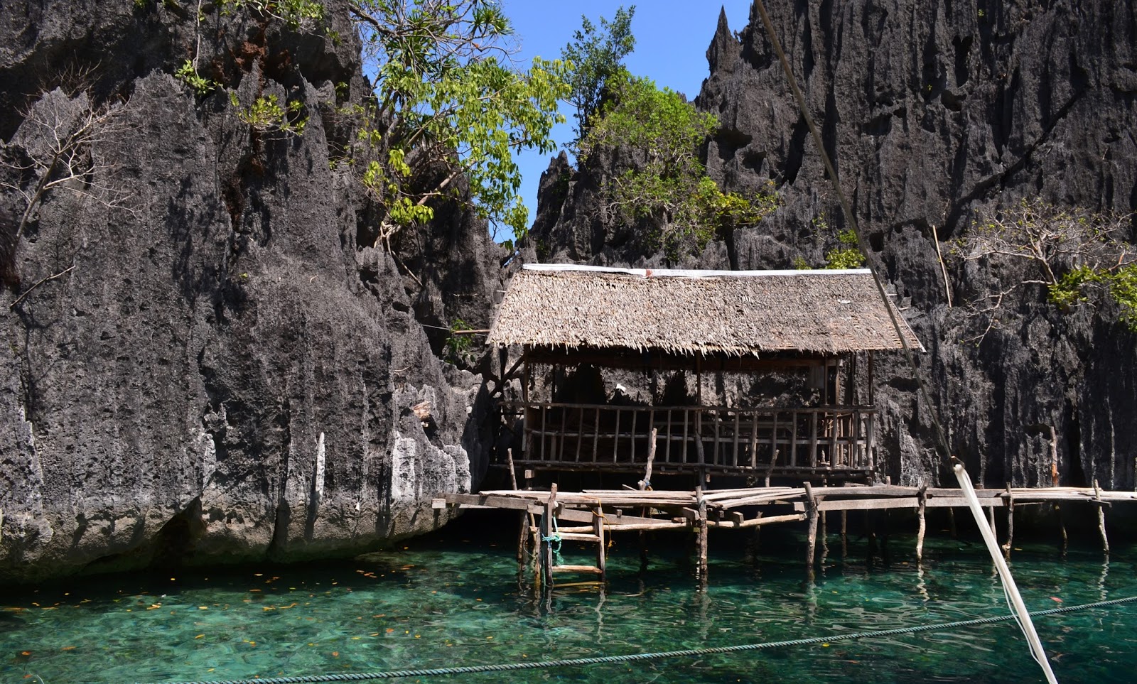 tagbanua - philippin news collections