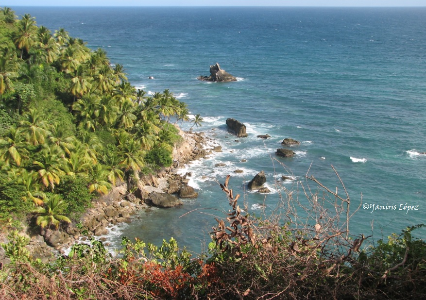 Ningún lugar está lejos... en RD: Punta Balandra, para ver a las ...