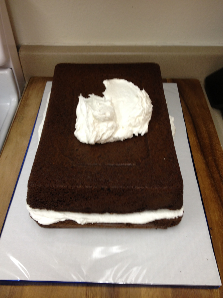 Pitcher Family Adventures: Cake Decorating!