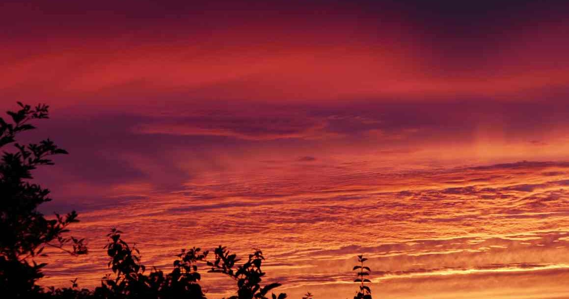 Omnium: Friday is Skyday