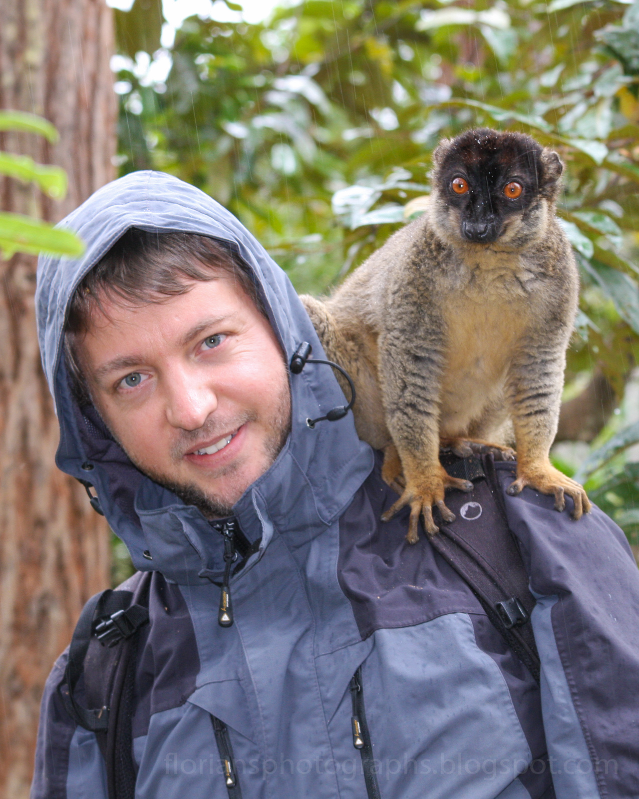Florian's Photographs: Lemurs in Madagascar