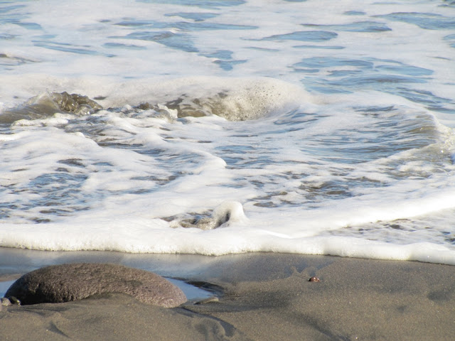 photographing New Zealand: scenes from Hawera