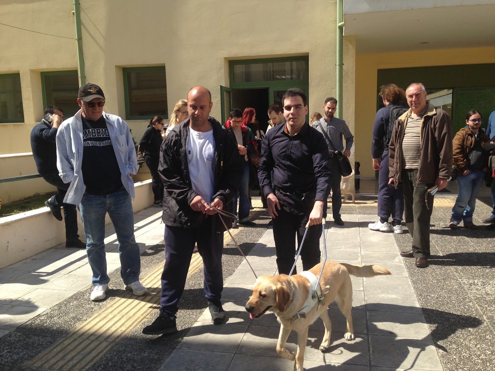 Με Άλλα Μάτια : ΣΚΥΛΟΙ ΟΔΗΓΟΙ: ΤΟ ΜΕΛΛΟΝ ΤΗΣ ΑΝΕΞΑΡΤΗΤΗΣ ΔΙΑΒΙΩΣΗΣ ΤΩΝ ...