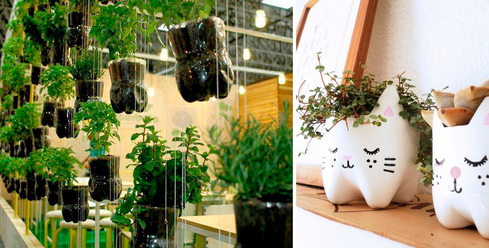 Transforme a garrafa pet em Vasos de flores e Hortas Divertidas, Crie a ...