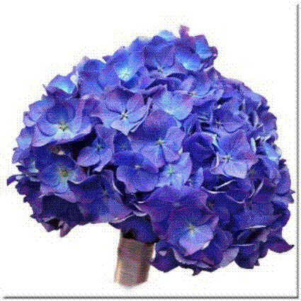 El ramo azul, de Octavio Paz