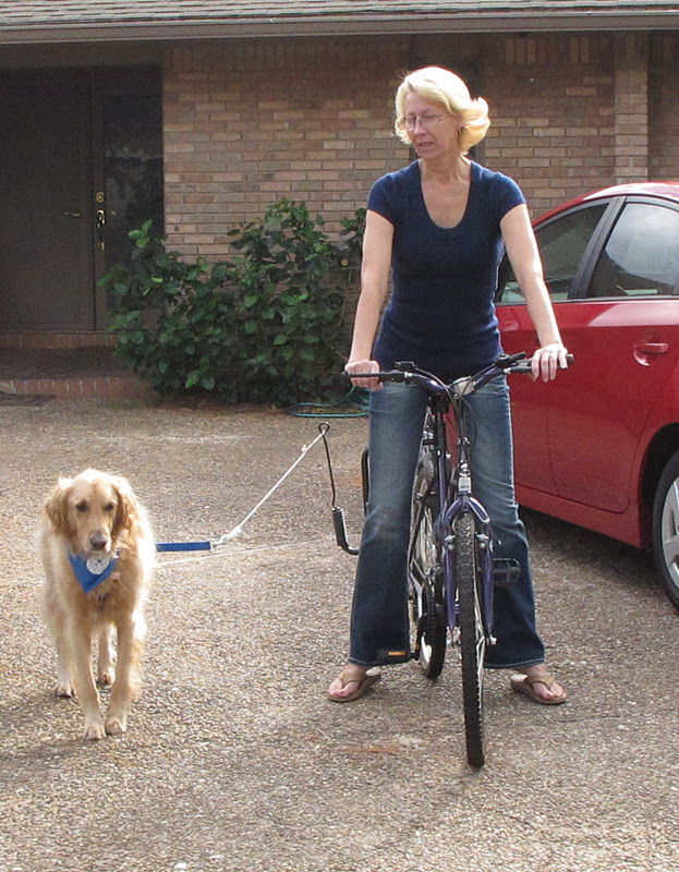 All Things Dog Blog