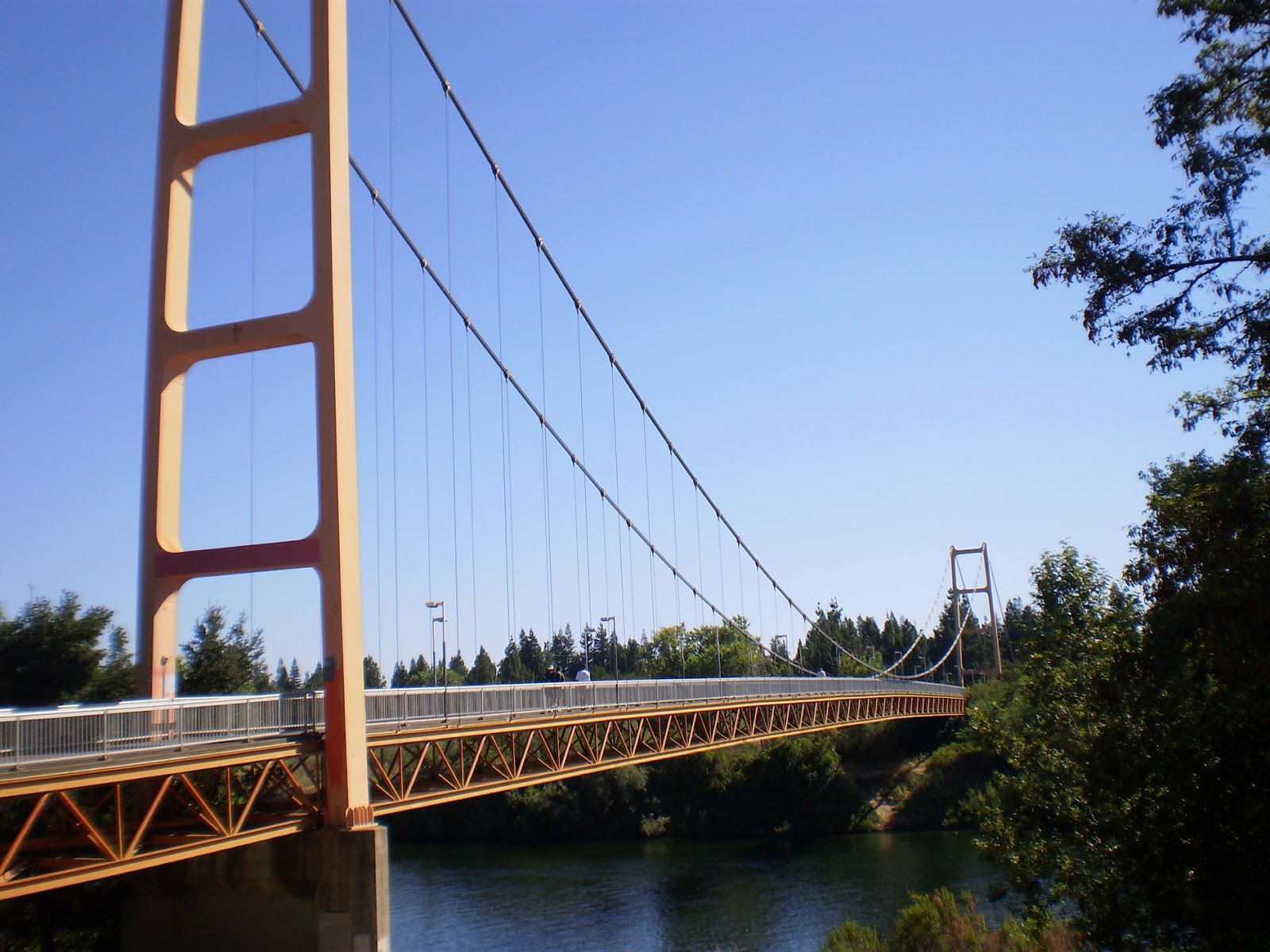 Gruppo Pumpkincycle: Sacramento Bike Trail & Auburn Century