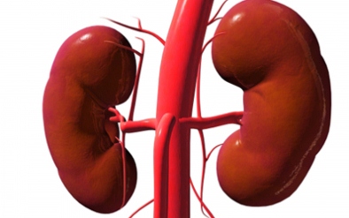 Χρόνια Νεφρική Νόσος και γήρανση, είναι το θέμα της Παγκόσμια Ημέρας ...