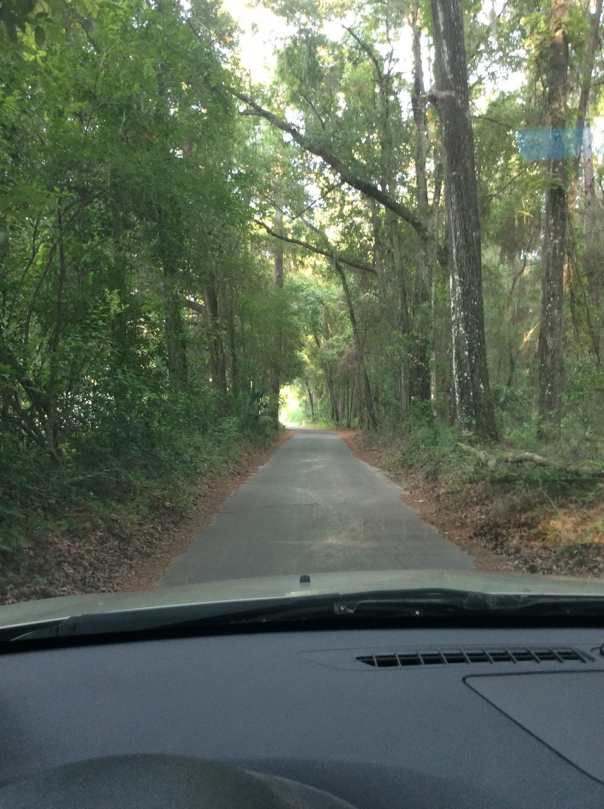 Elder Guinup: August 2016