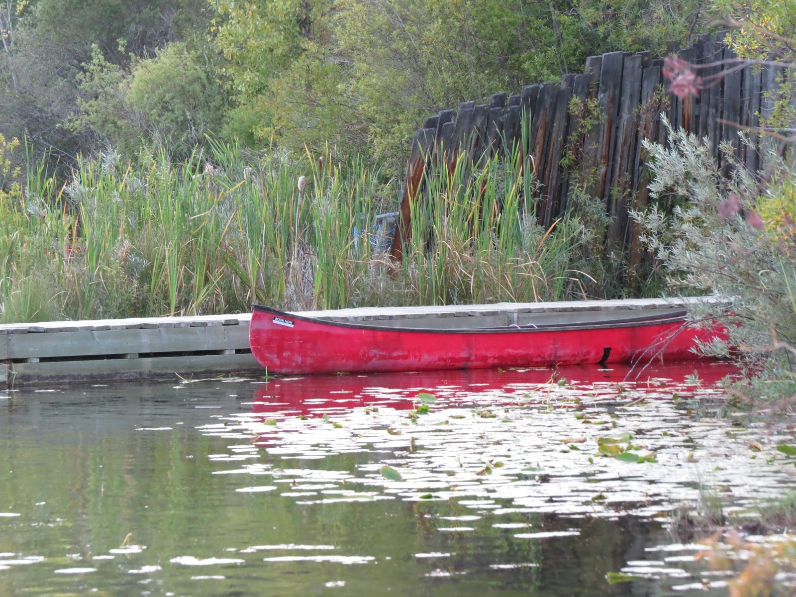 The Cranbrook Guardian: Out and About at Jim Smith Lake