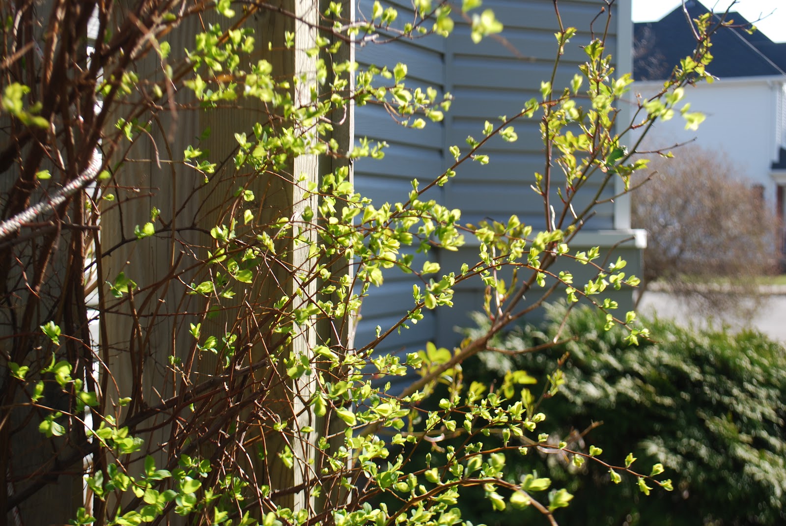3 Jardins au Québec: Le printemps en photos