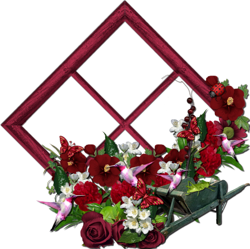 Moonwolf's Sanctuary: ~*NEW*~ FREEBIE Cluster Frame