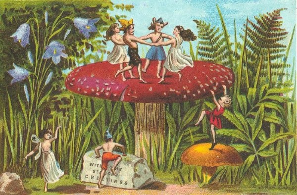 Tuning Into the Realm of Fairies and Elves - Psychedelic Adventure