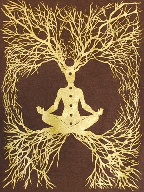 How To Raise Your Vibration How Do You Tell The Difference Between Ego False Guidance And how-to-raise-your-vibration-how-do-you-tell-the-difference-between-ego-false-guidance-and