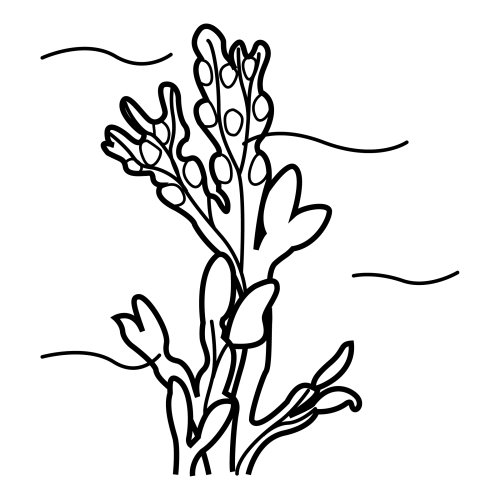 Algae Coloring Coloring Pages