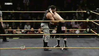 The perfect 10 moves wrestler. : r/SquaredCircle