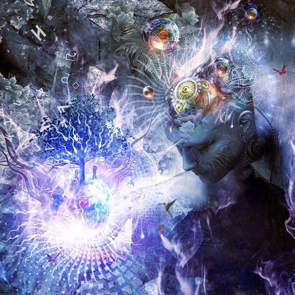 Cromofora La ( Paloma) Contemporary Online Art Gallery: CAMERON GRAY