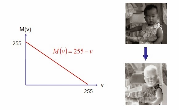 OpenCV Tutorial - Membuat Efek Negative - Terraligno
