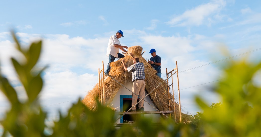 COLMATAÇÃO DE CASA TÍPICA DE SANTANA