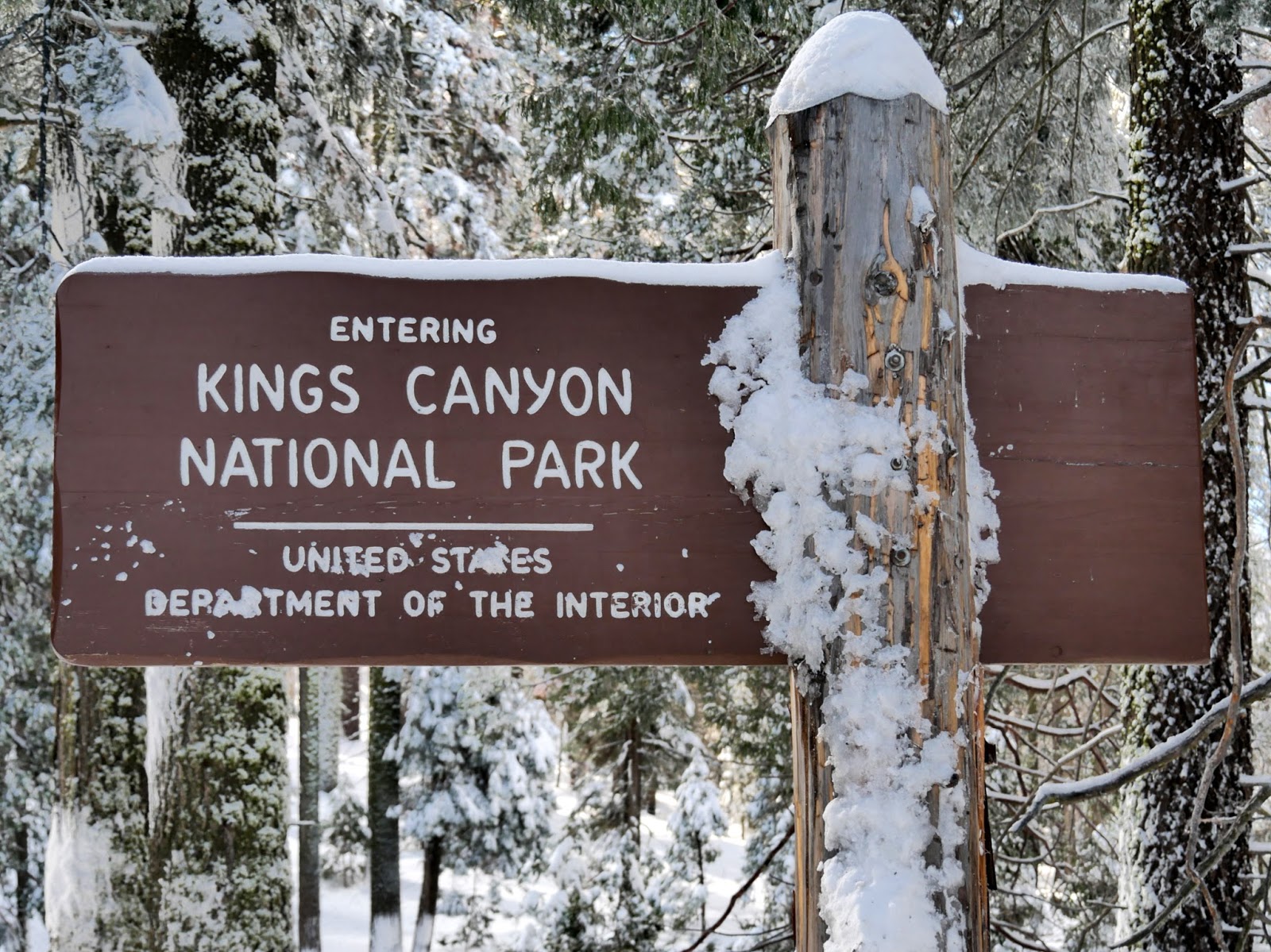 American Travel Journal: General Grant Tree Trail - Kings Canyon ...