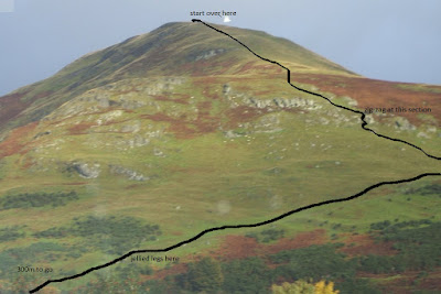 Moorfoot Runners Members Blog: The Nebit Downfall