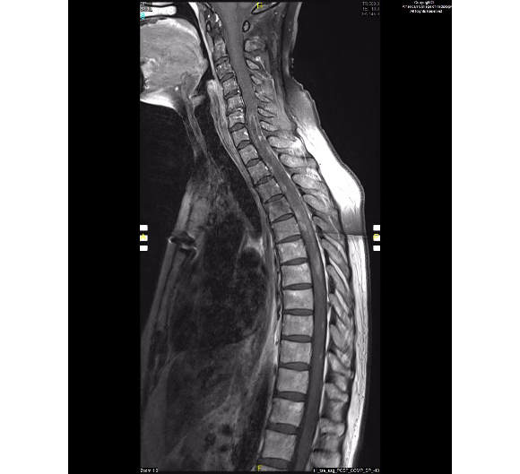 EL RINCÓN DE LA MEDICINA INTERNA. juanpedromacaluso@yahoo.com.ar ...