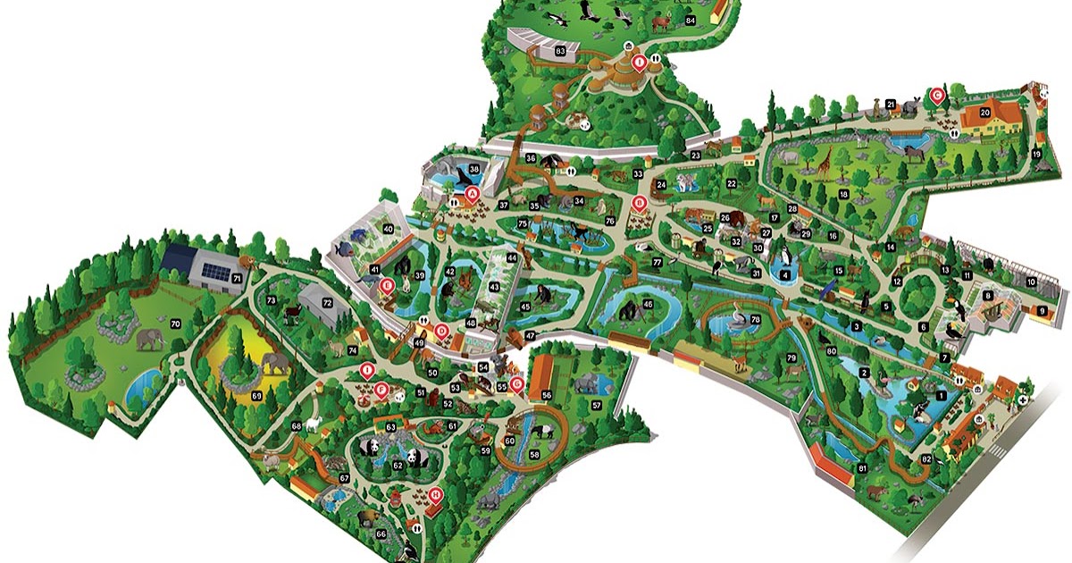 Les 6° et les 5° de Grévy: Exposé d'Elsa - Le Zooparc de Beauval