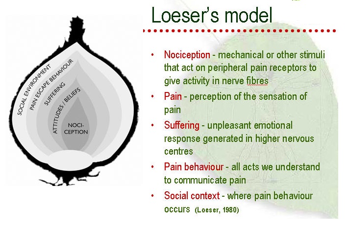 Lexskigator in Space