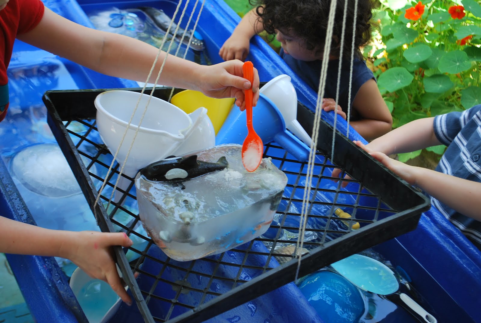 Familylicious Preschool Projects: Sensory Table- Iceberg Melting