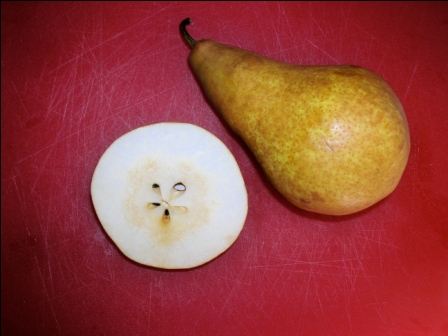 A Simple Explanation of Absolutely Everything: Toroidal Patterns in Fruit