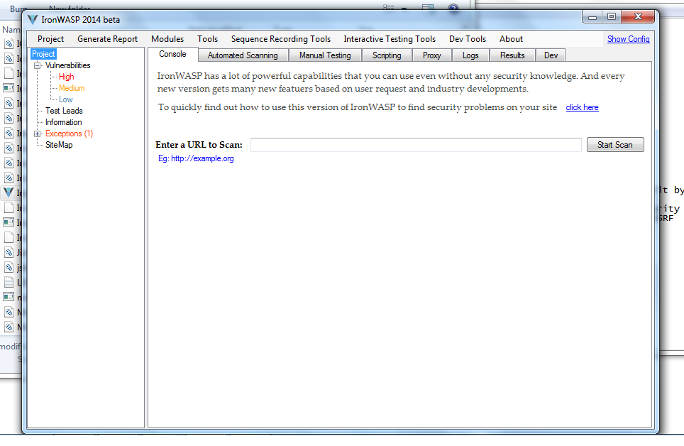 QA Zone: IronWASP Tool Usages: Introduction