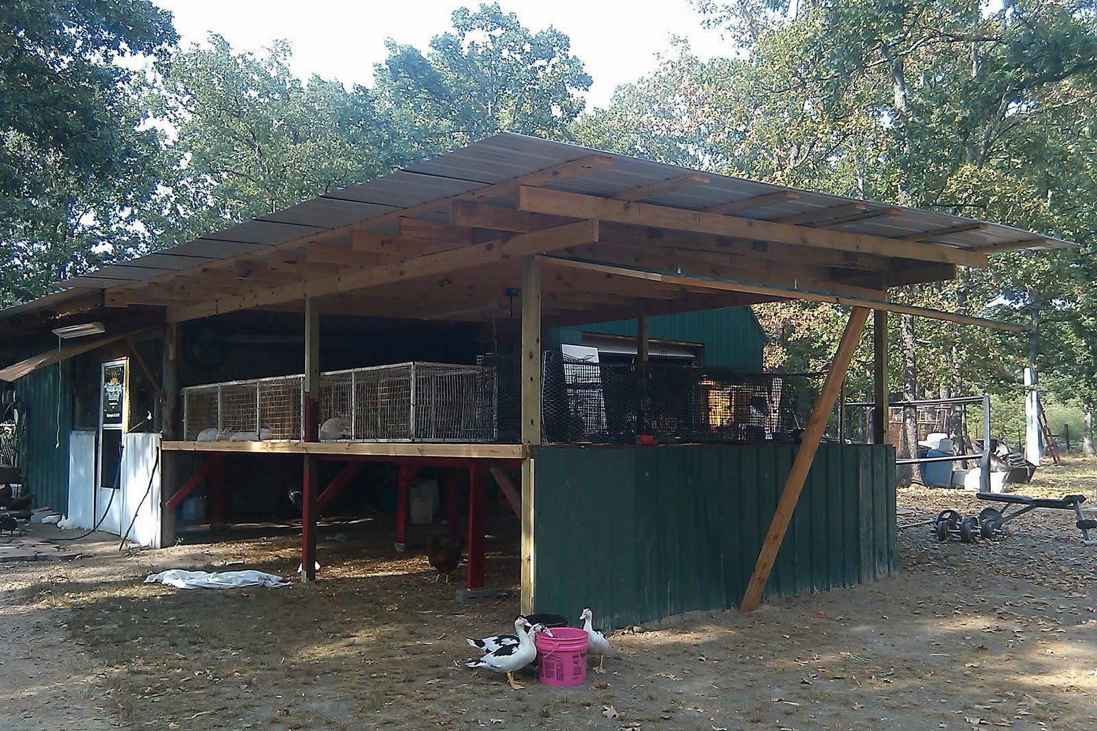 Sunny Dayz Rabbitry: New Rabbit Barn (YAY!)