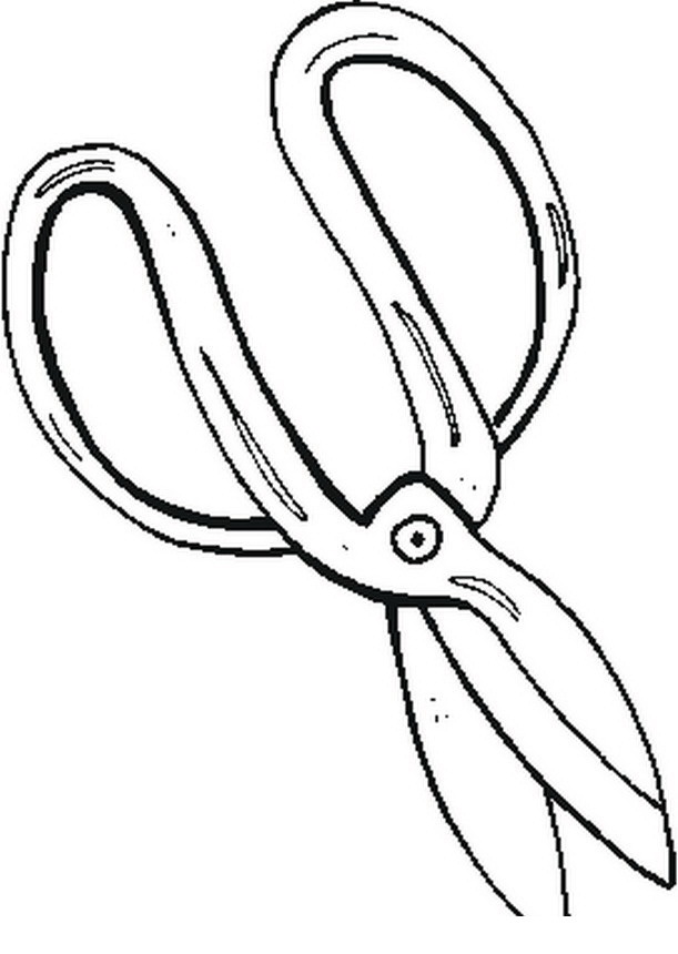 Scissors to color and paint | COLOR AREA