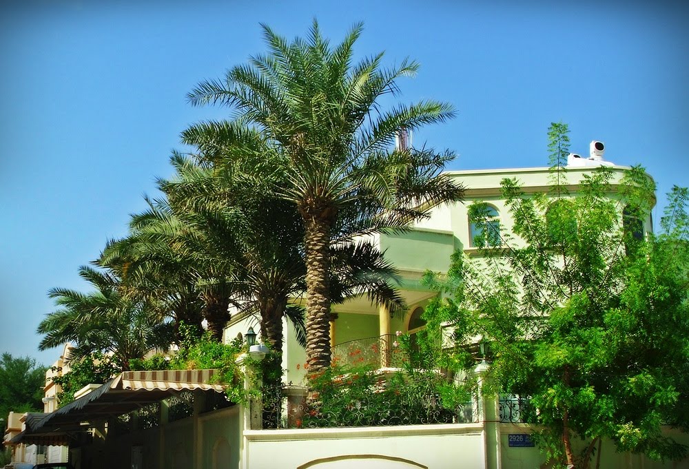 EXPLORE THE WORLD: Riffa, Bahrain; Image Gallery