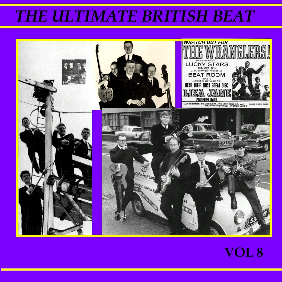 SIXTIES BEAT: The Ultimate British Beat Vol 8