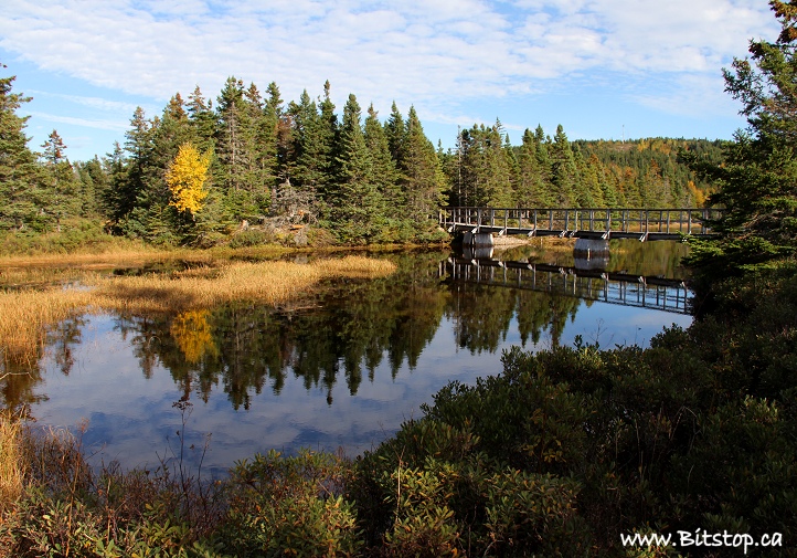 Bitstop: Indian River Walking Trail, Springdale