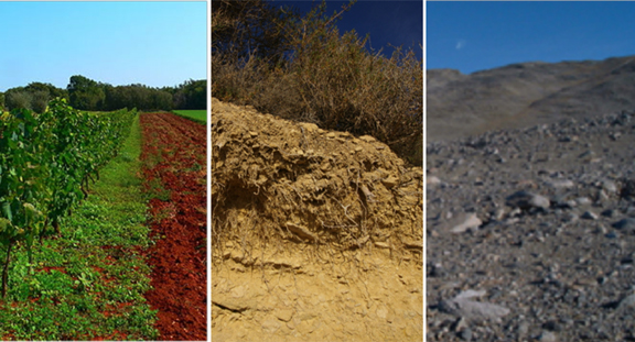 NephiCode: Soils and Climates of Baja California and the Land of ...