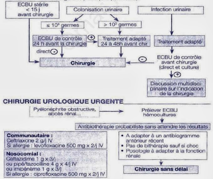 ECBU PRÉOPÉRATOIRE
