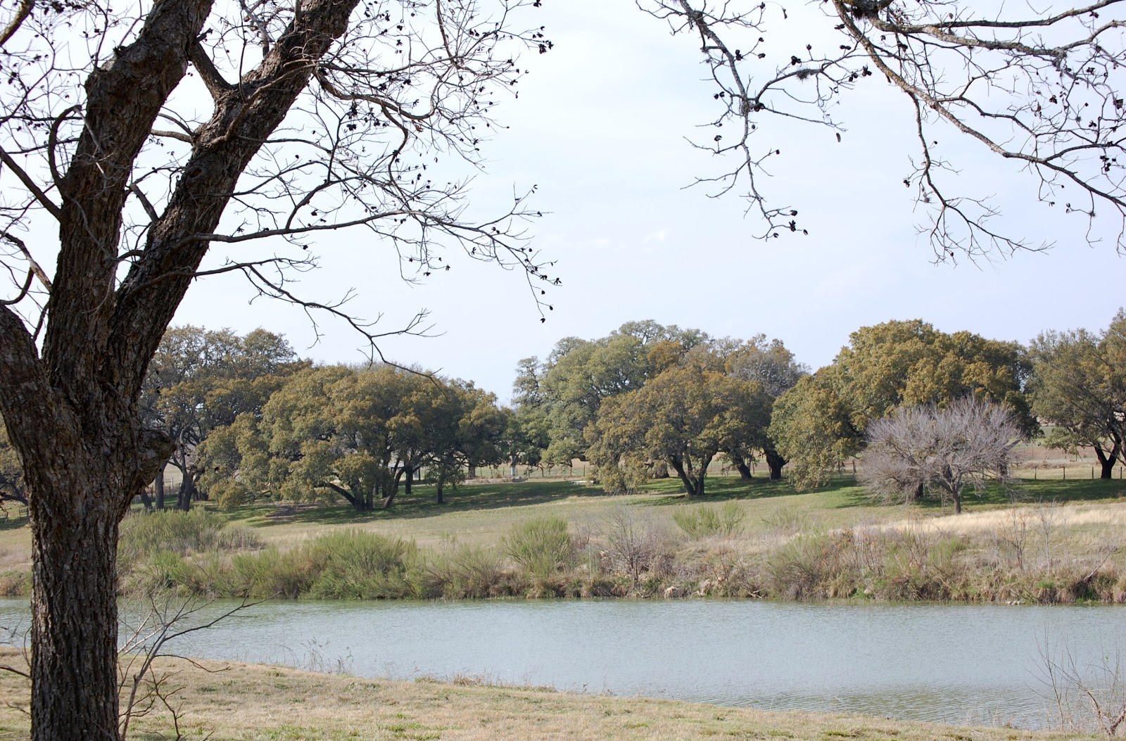 Postcards From Pam and Larry: LBJ Ranch