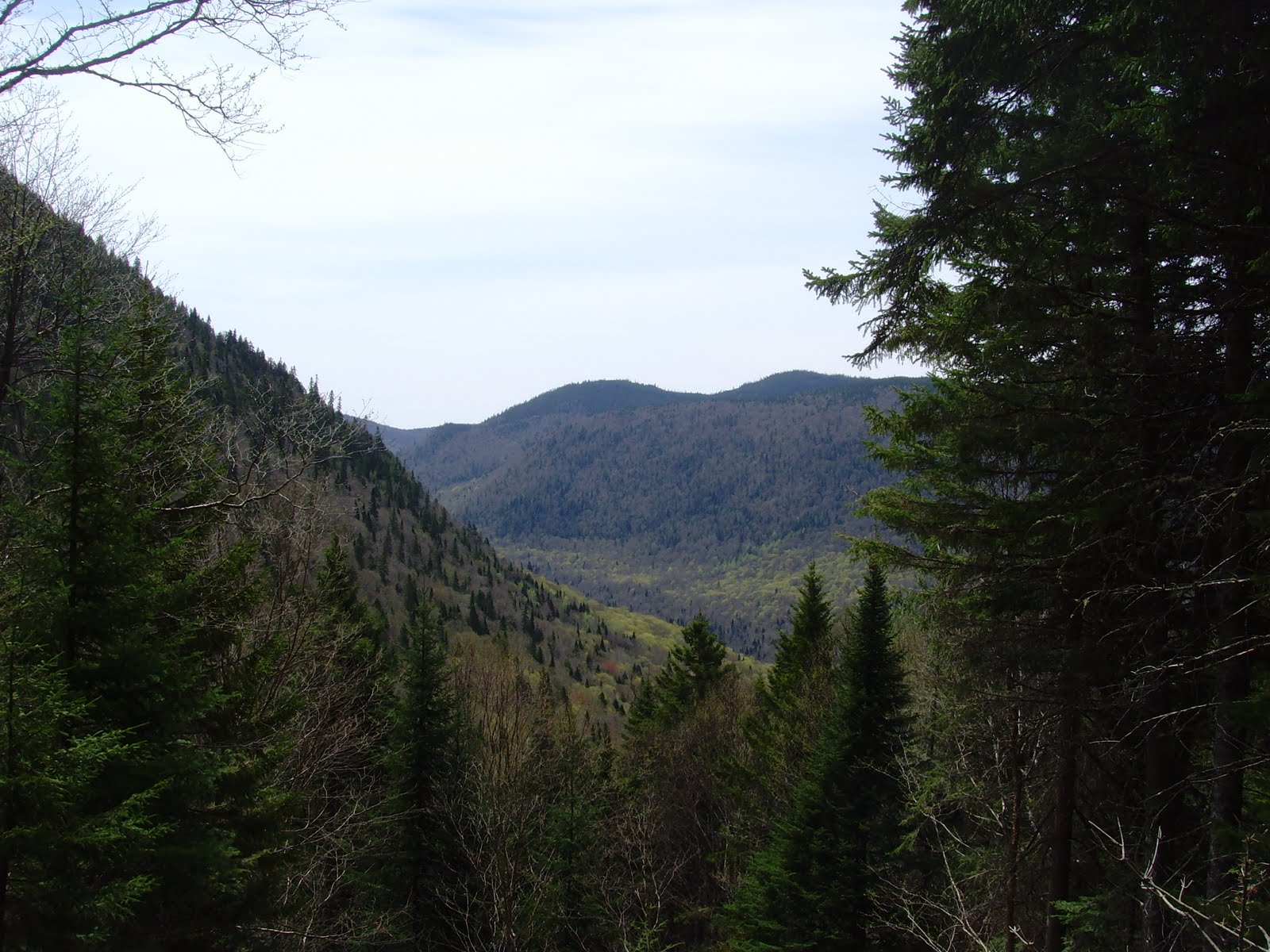 JE ME SOUVIENS: Parc National : Jaques-Cartier ( 3ème partie )