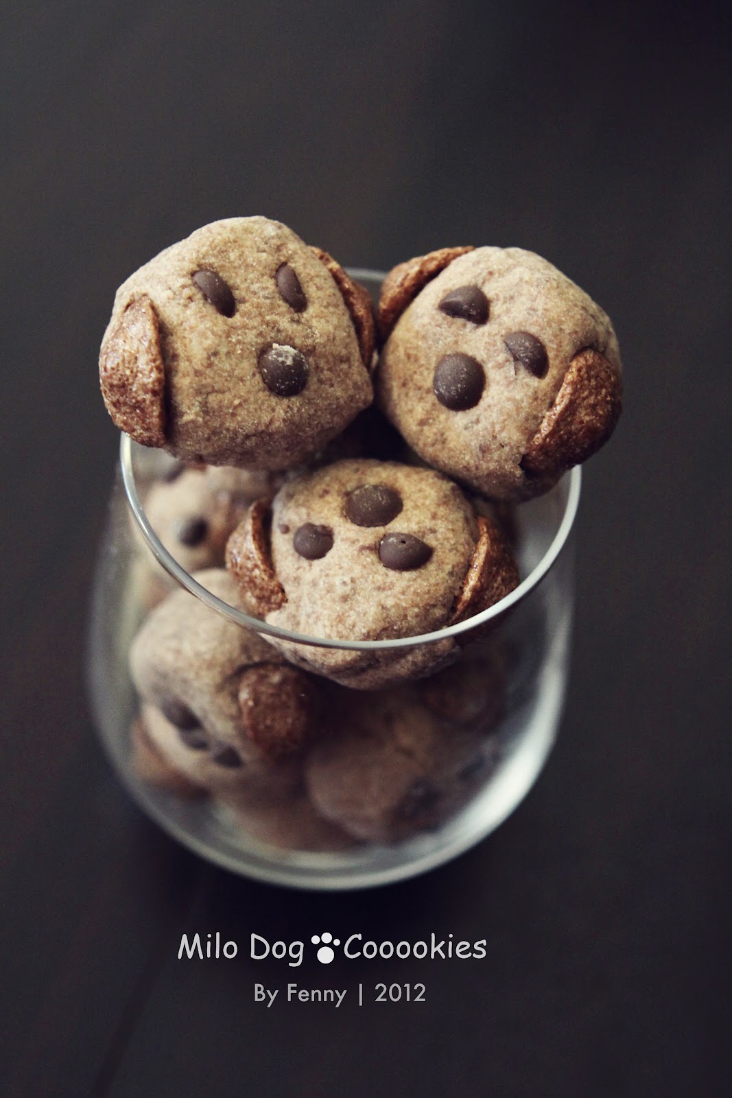 Peko Peko Tummy: Milo Doggie Cookies