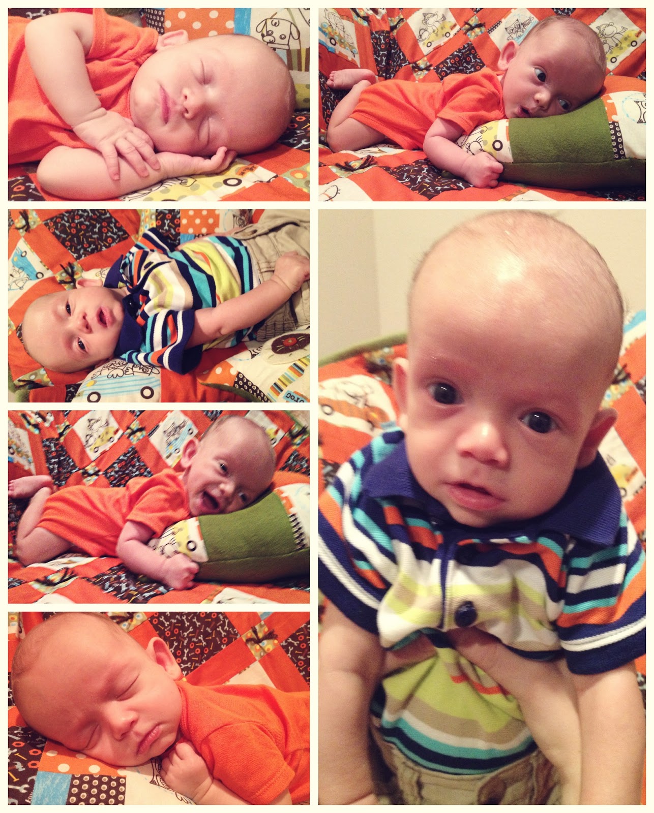 Embracing Life's Adventures: Milestones and Back to School