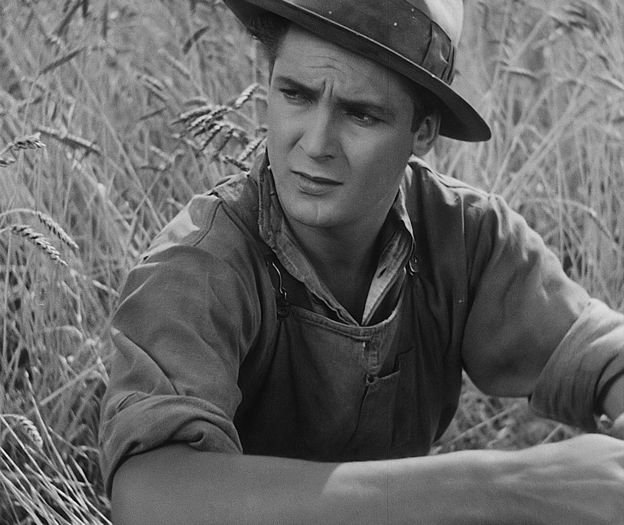 my new plaid pants: Gratuitous Charles Farrell