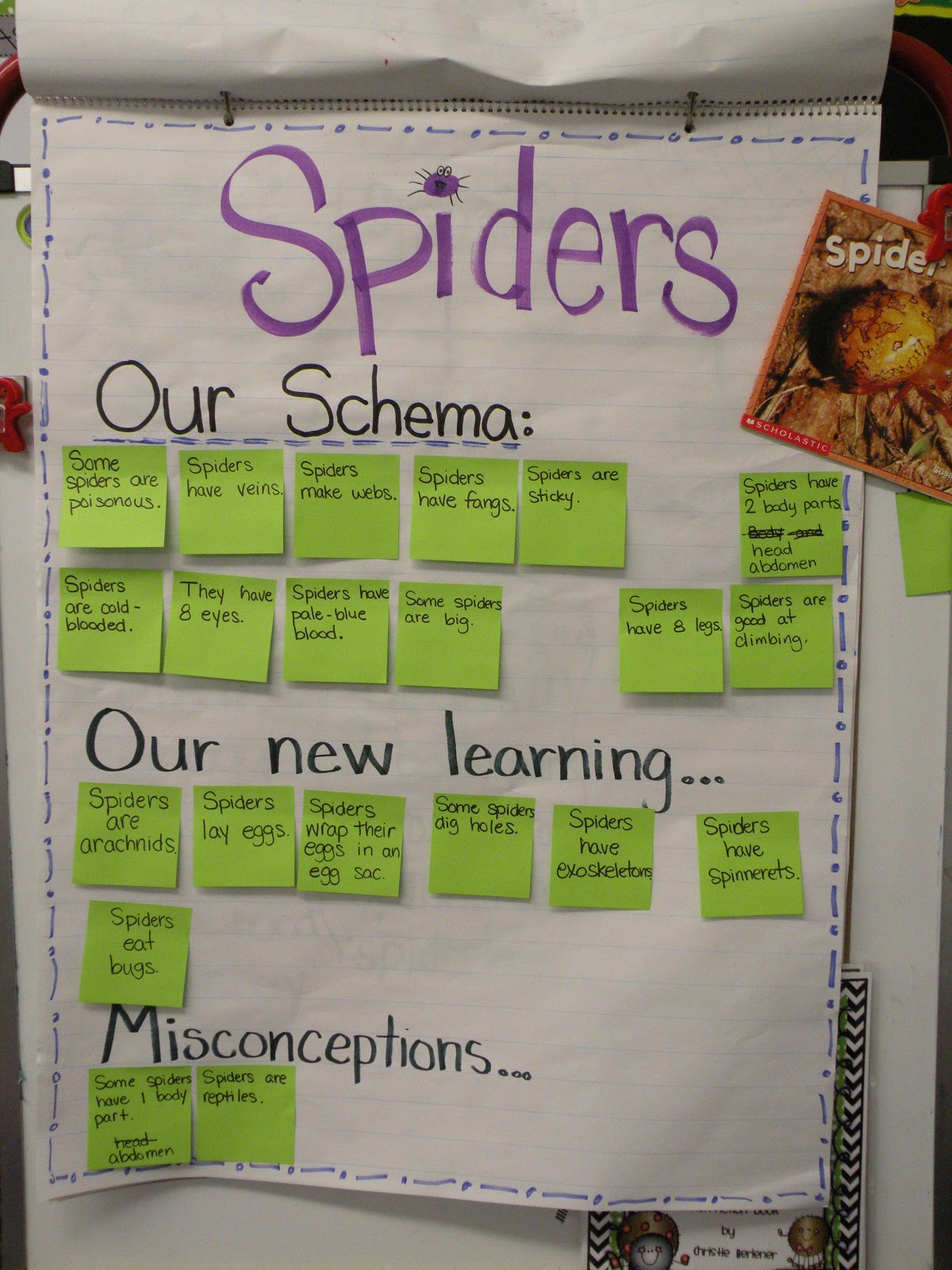 First Grade Fever! by Christie: Spectacular Spider Fun! {& some FREEBIES!}