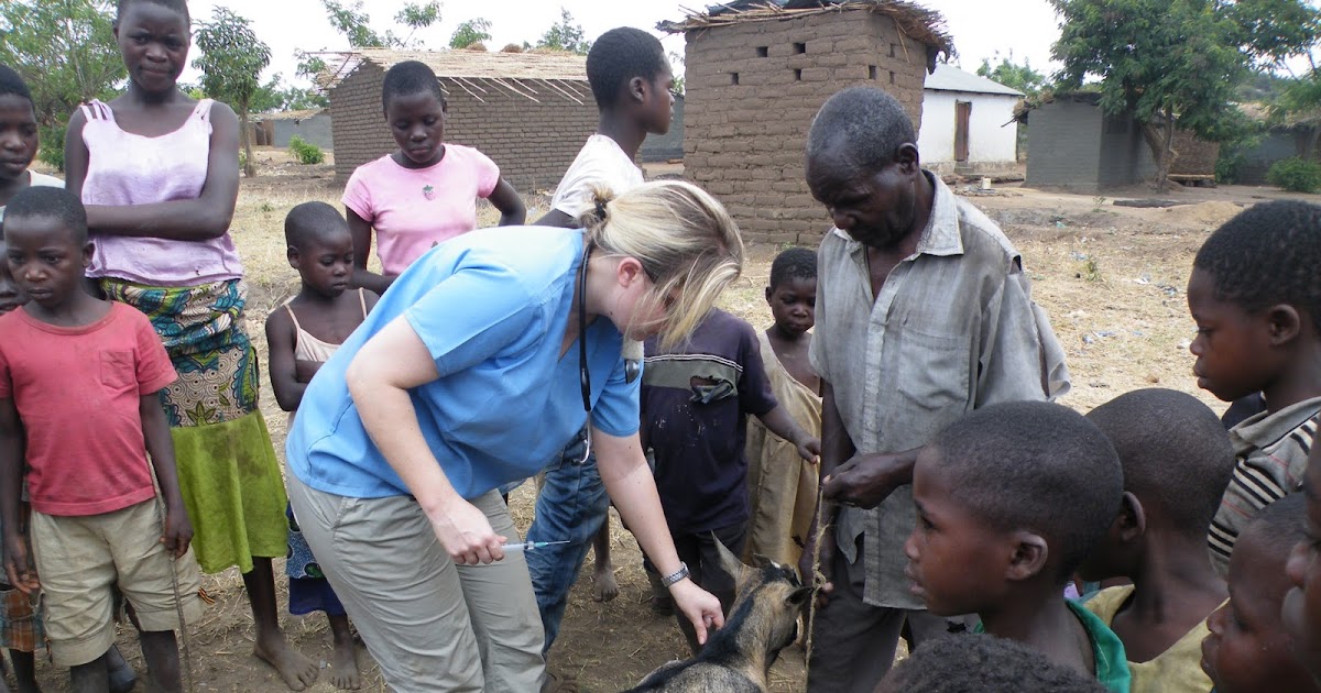 Lilongwe Society for the Protection and Care of Animals: Katherine ...