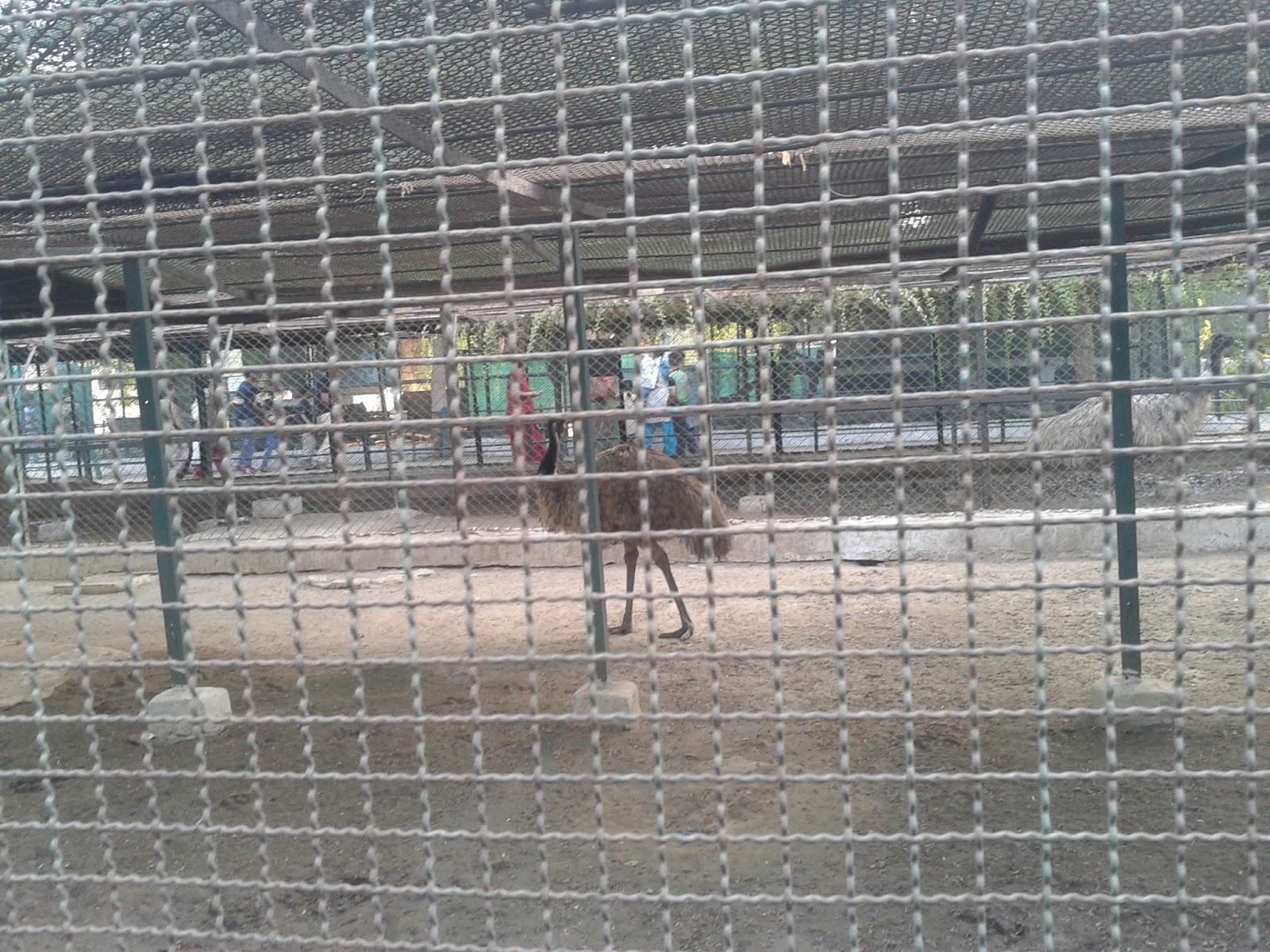 Kamla nehru zoo kankaria zoo ahmedabad - Green Ahmedabad: