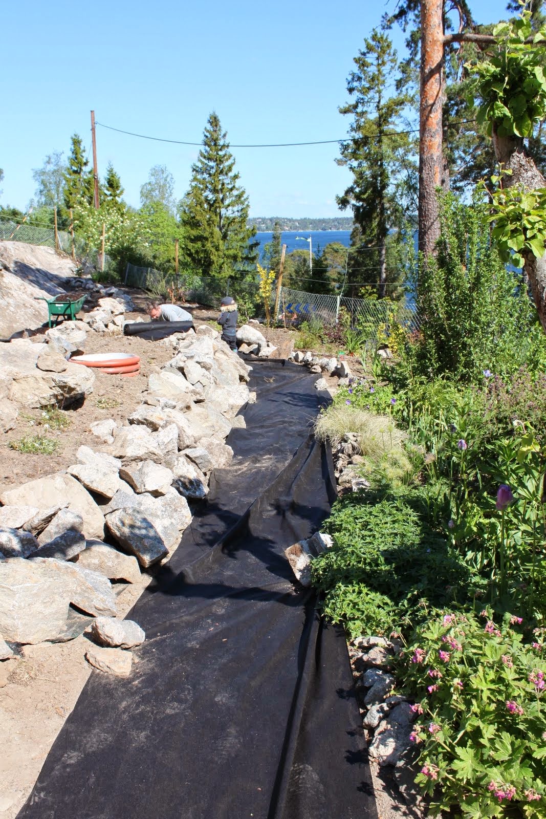 Mina trädgårdar: Fortsättning på projekt "gångar i trädgården"