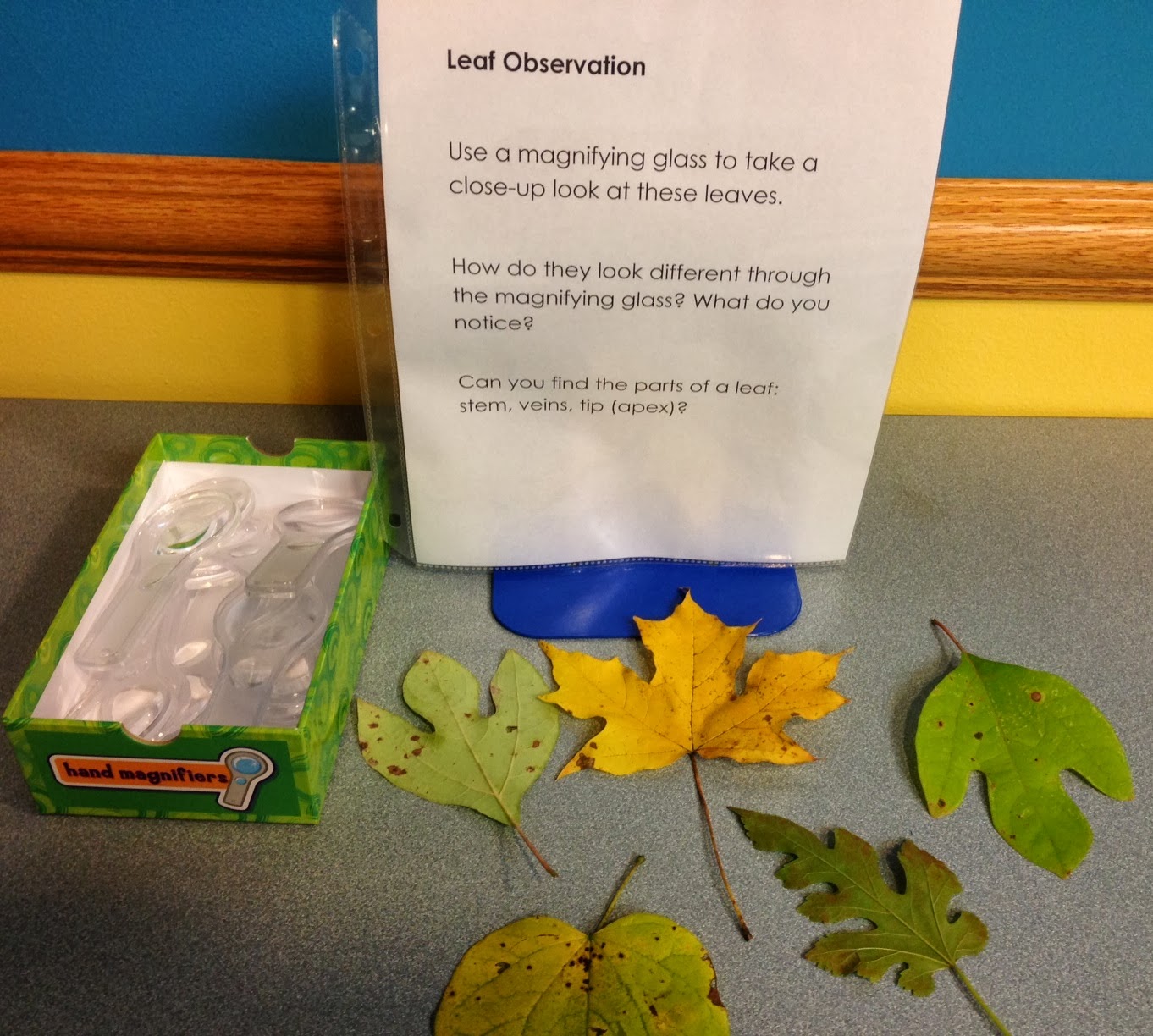 Abby the Librarian: Preschool Lab: Changing Leaves
