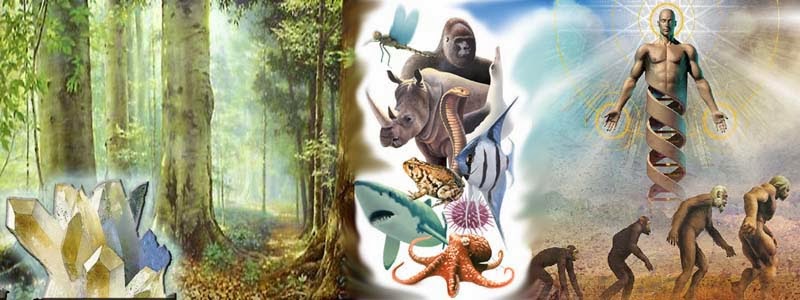 O ESPIRITISMO E A METEMPSICOSE