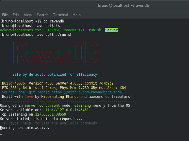 Installing and Running RavenDB on Windows and Linux | HildenCo Solutions